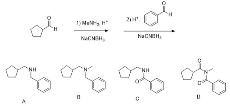 Solved H 2) H. 1) MeNH2, H* NaCNBH3 NaCNBH3 NH NH 00 С D A | Chegg.com