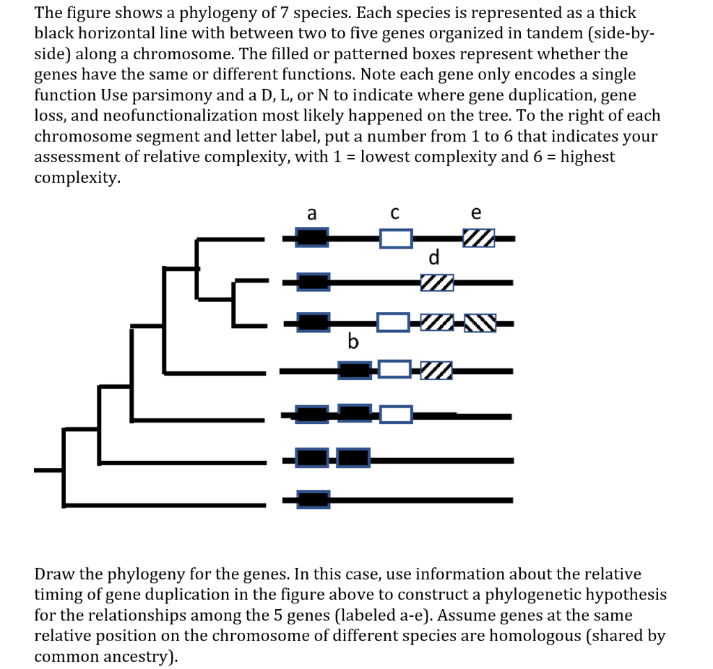 Solved The figure shows a phylogeny of 7 species. Each | Chegg.com