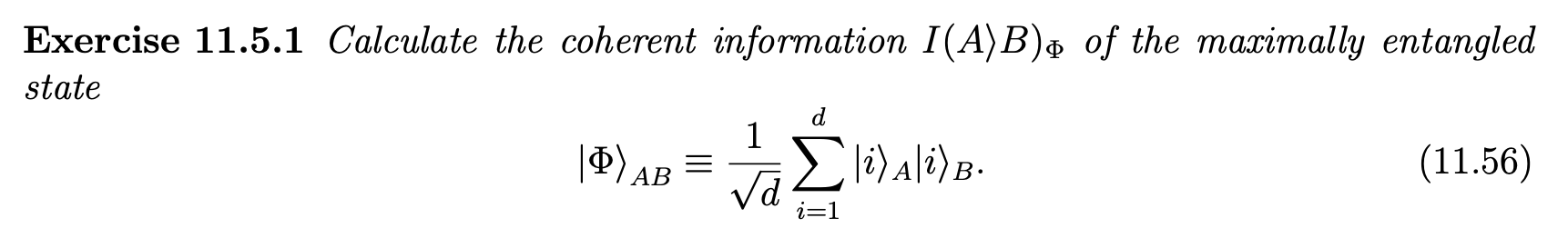 Solved Exercise 11.5.1 Calculate the coherent information | Chegg.com