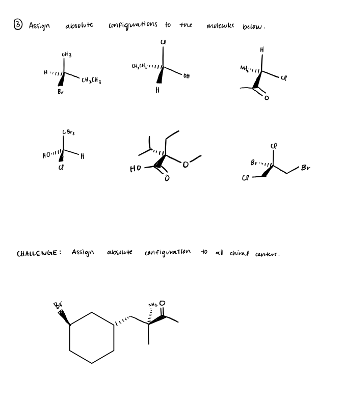 Solved (3) Assign absolute configurations to the molewles | Chegg.com Solved (3) Assign absolute configurations to the molewles | Chegg.com