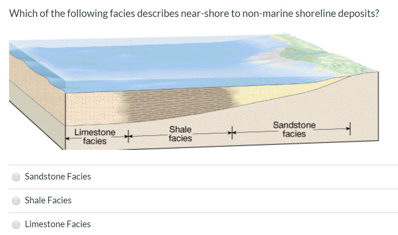 Solved Which of the following facies describes near-shore to | Chegg.com