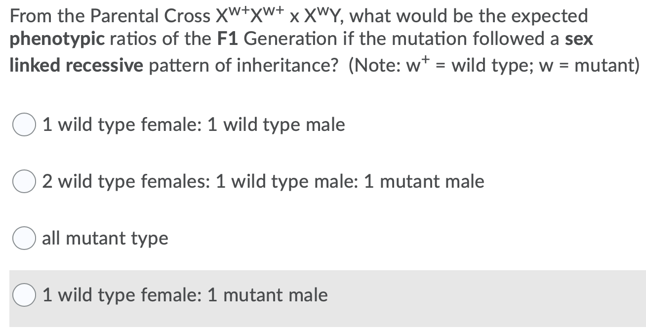 Solved From the Parental Cross Xw+gw+ x XWY, what would be | Chegg.com