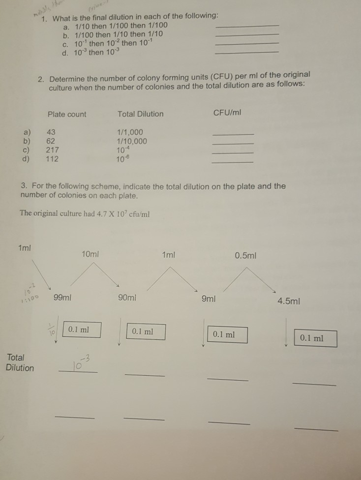 Solved 1. What is the final dilution in each of the | Chegg.com