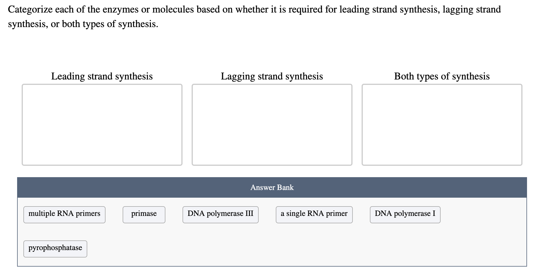 Solved Categorize each of the enzymes or molecules based on | Chegg.com