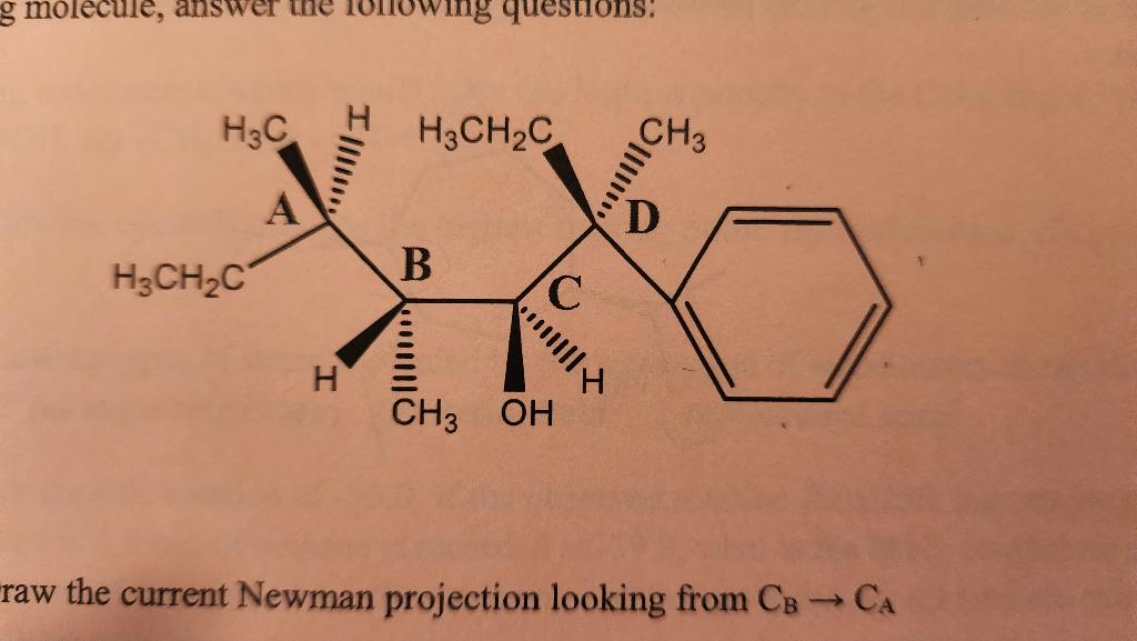 Solved Draw the Newman projection of the overall MOST stable | Chegg.com
