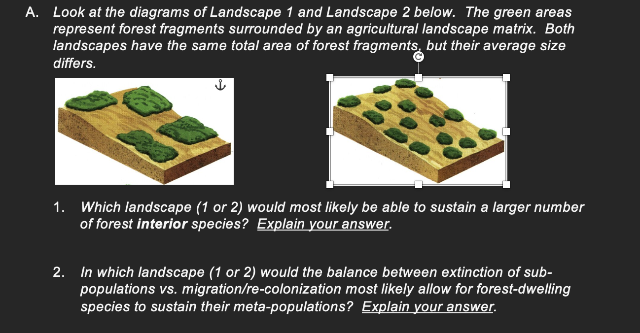 Solved A. Look at the diagrams of Landscape 1 and Landscape | Chegg.com