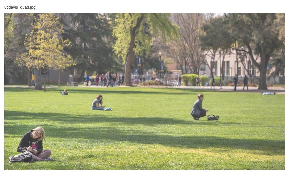 Solved Mini-Project 5 My Solutions > Mini-Project 5: Green | Chegg.com