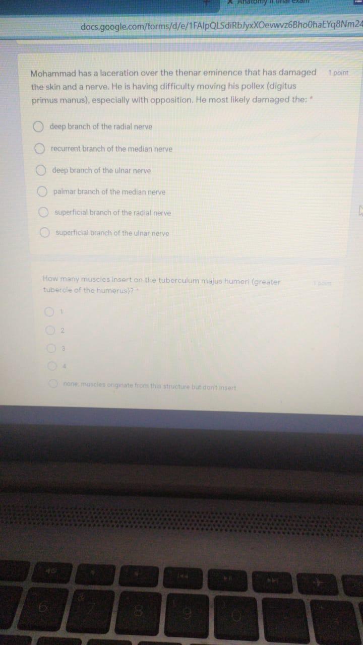 Solved Anatomy | Chegg.com