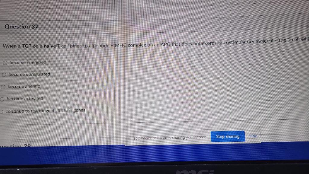 Solved Question 37 When a TGR on a naive T cell binds to a | Chegg.com