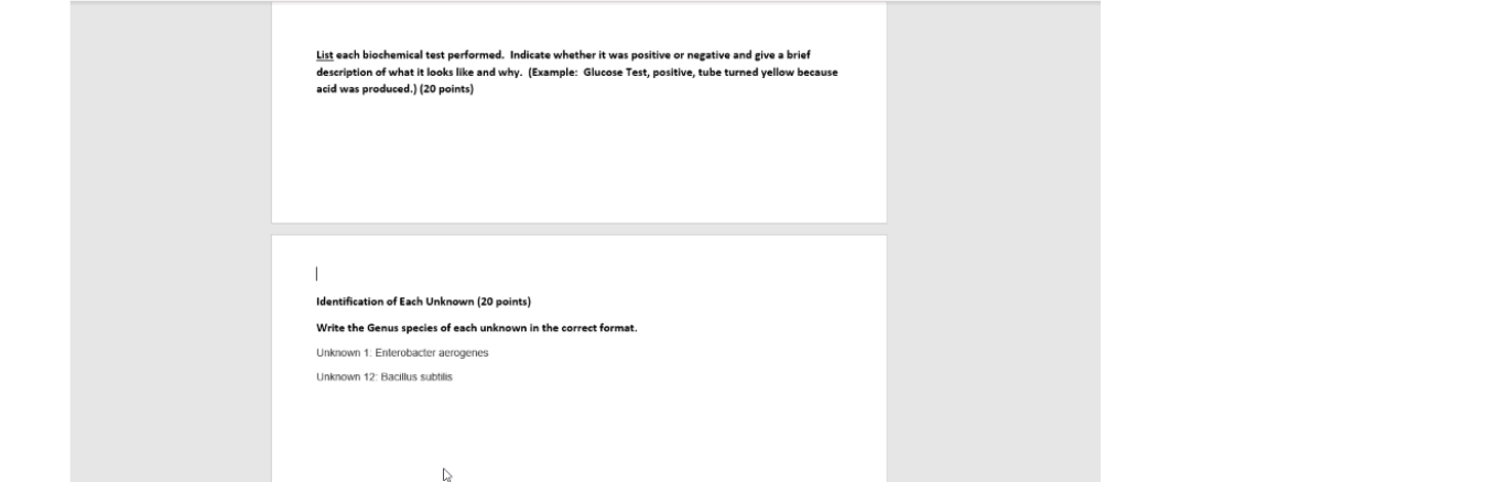 Solved Biochemical Unknown (50 points) Name: Batool Alansari | Chegg.com