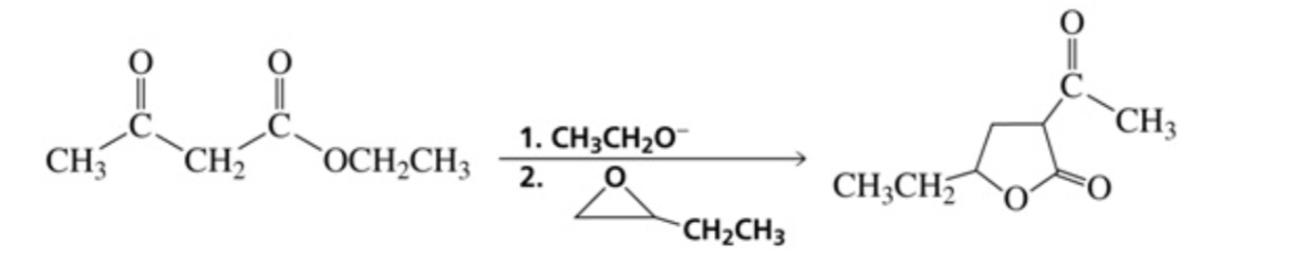 Solved CH3 CH; CH2 OCH CH3 1. CH3CH20- 2. O CH3CH CH2CH3 | Chegg.com