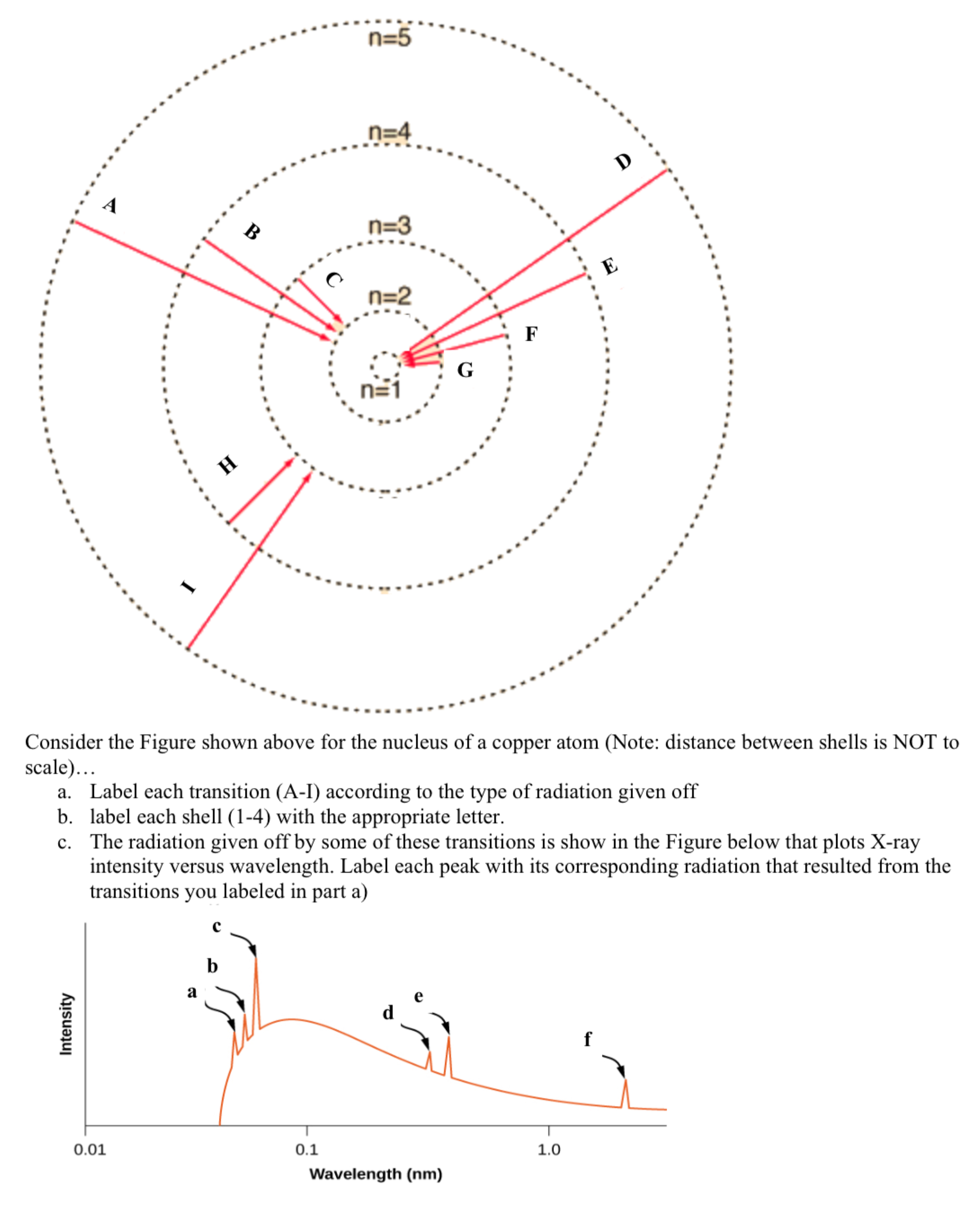 Solved Consider the Figure shown above for the nucleus of a | Chegg.com