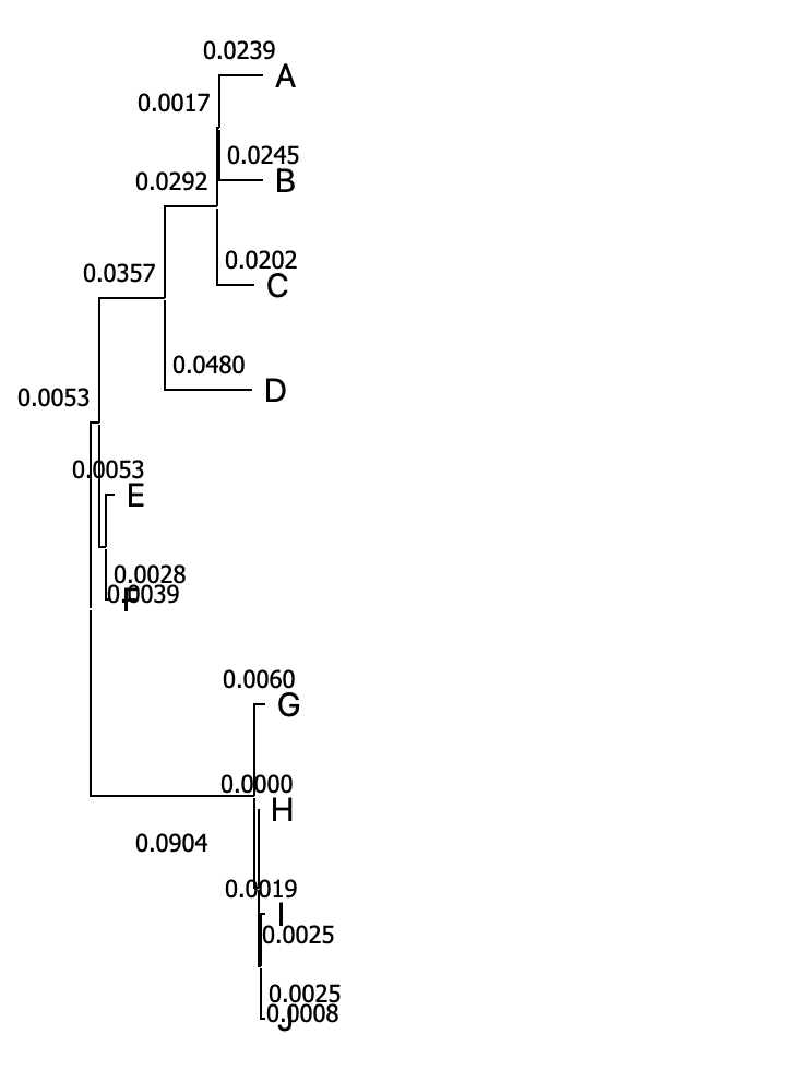 Solved On the maximum likelihood tree below, what 2 species | Chegg.com