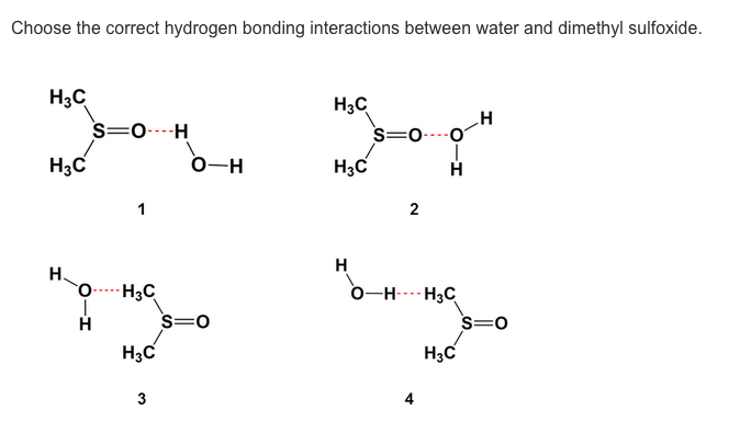 Solved Choose the correct hydrogen bonding interactions | Chegg.com