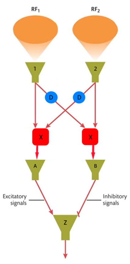 Solved Refer to the imager below that illustrates the | Chegg.com