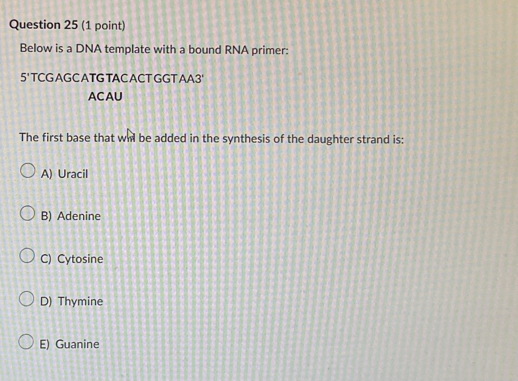 Solved Question 25 (1 ﻿point)Below is a DNA template with a | Chegg.com