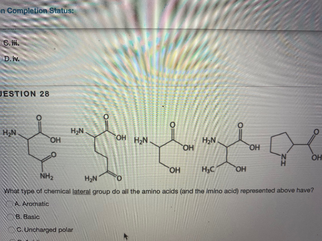 Solved What type of chemical lateral group do all the amino | Chegg.com
