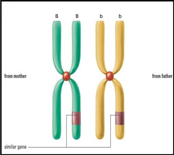 Solved Select all true statements dealing with this diagram | Chegg.com