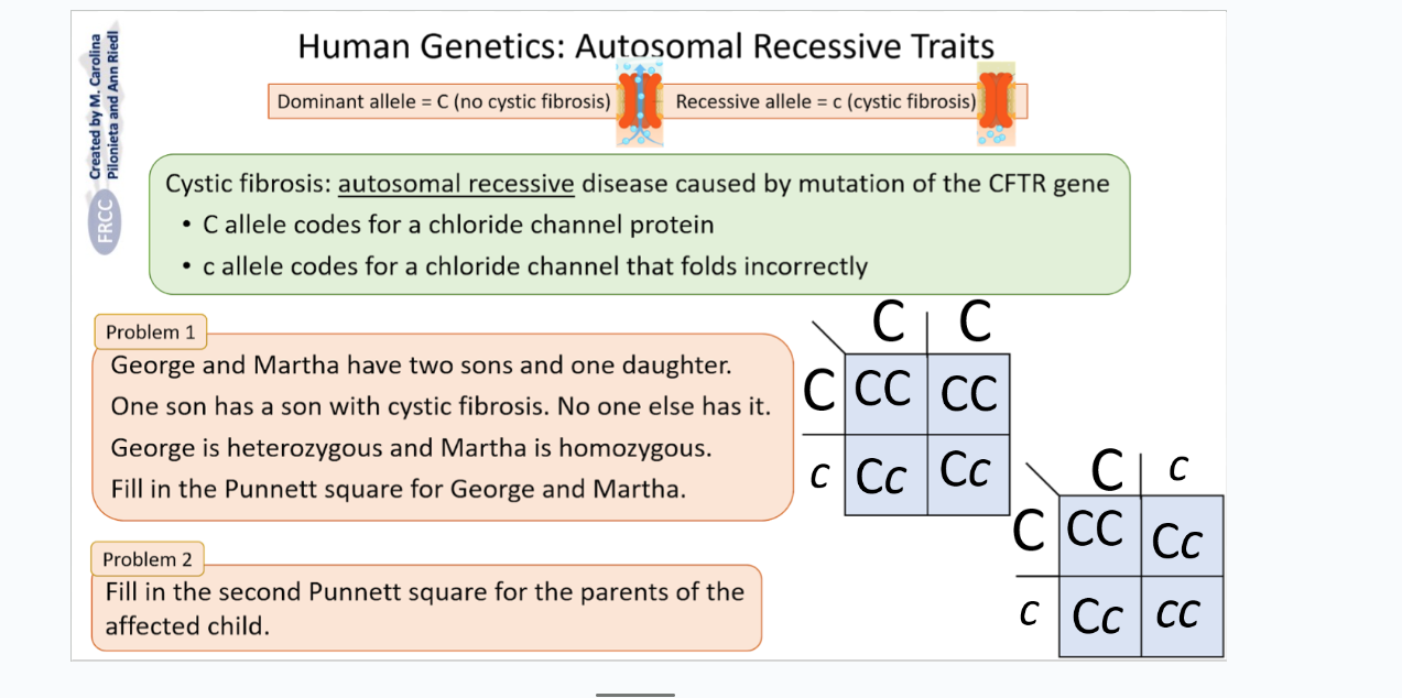 Solved Human Genetics: Autosomal Recessive TraitsDominant | Chegg.com