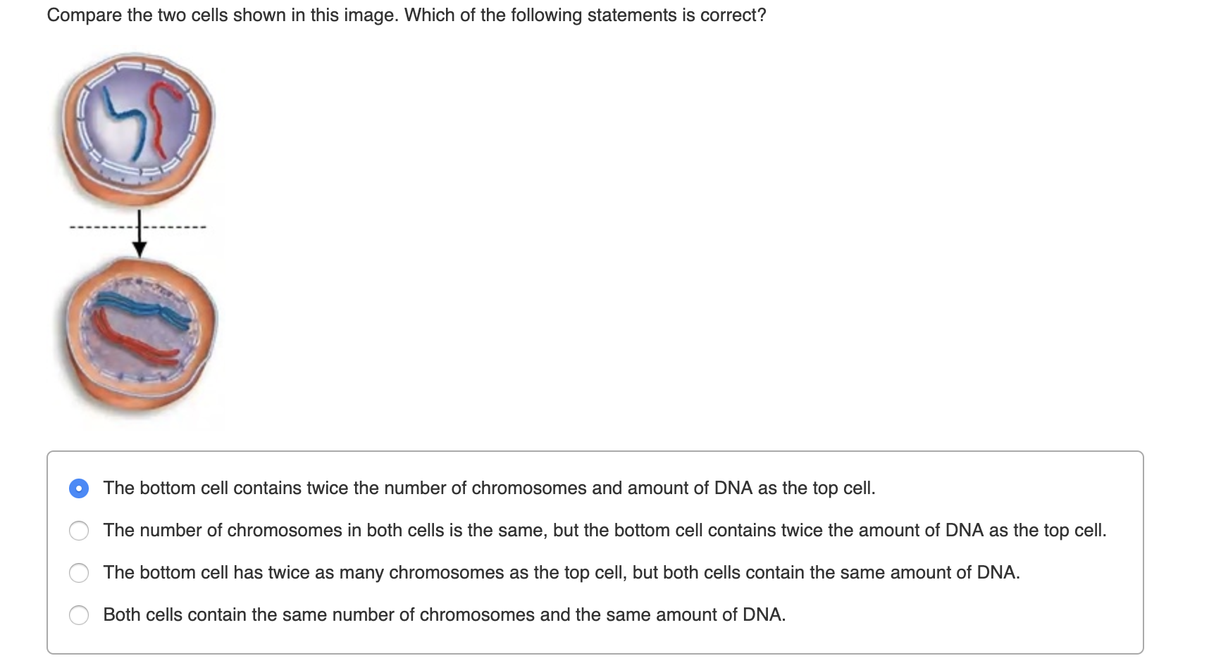 Solved Compare the two cells shown in this image. Which of | Chegg.com