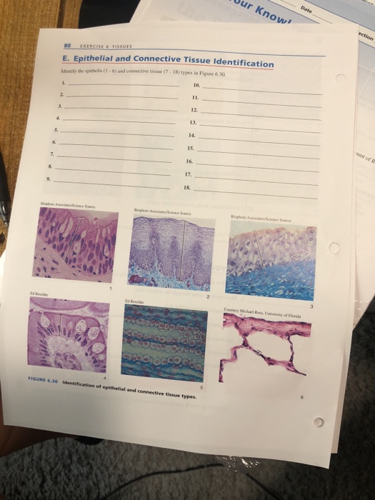 Solved Date Section Reviewing Your Knowledge EXERCISE 6 A. | Chegg.com