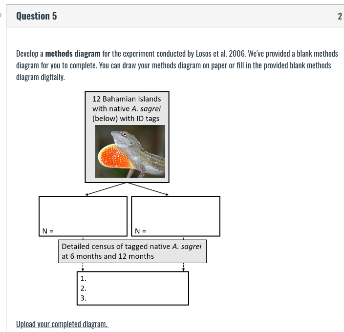 Solved De dia dia 06 . We've provided a blank methods fill | Chegg.com