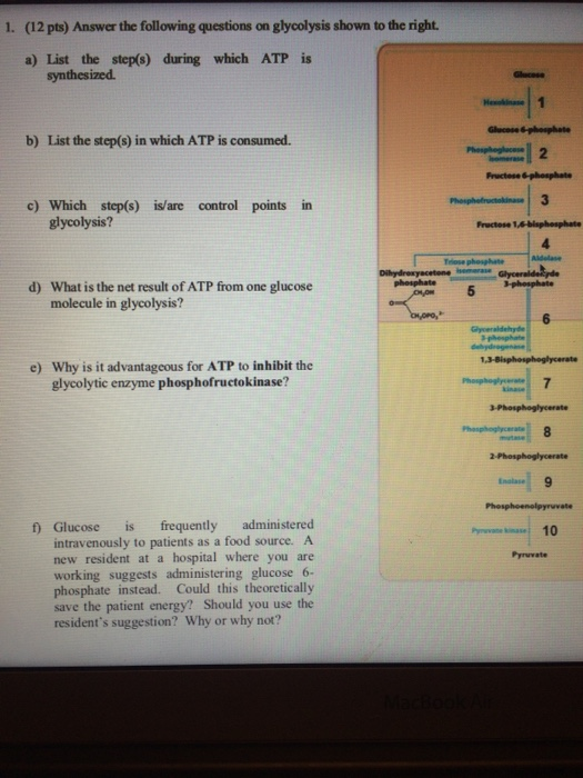 Solved (12 pts) Answer the following questions on glycolysis | Chegg.com