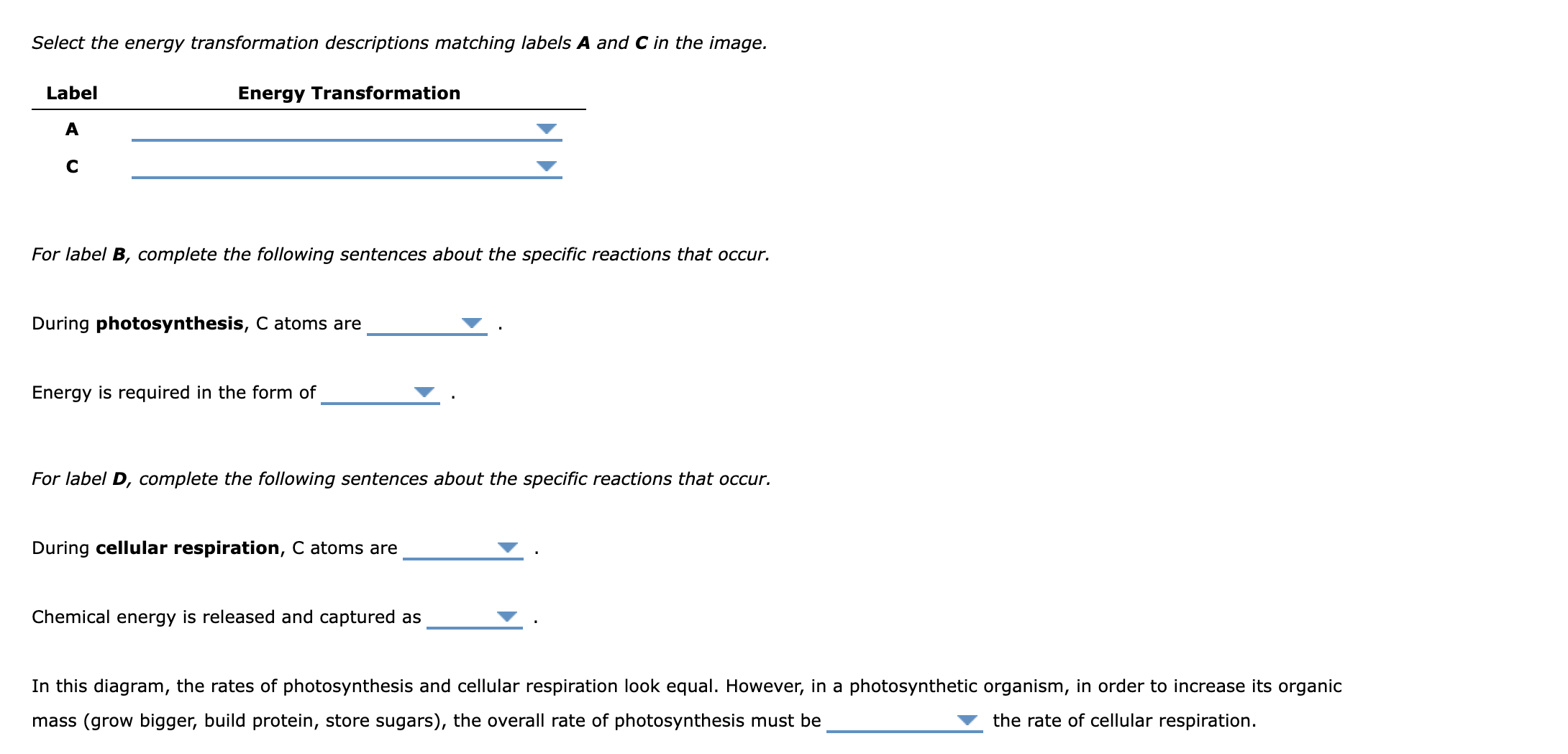 Solved The following image shows energy transformations | Chegg.com