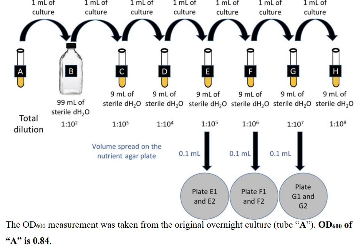 Calculate the cell density from the original | Chegg.com