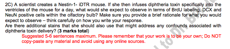 2C) A scientist creates a Nestin-1-IDTR mouse. If she | Chegg.com