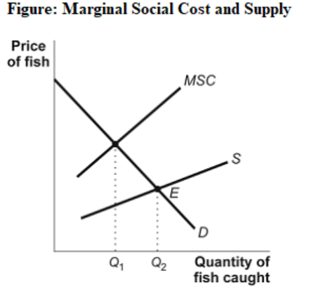 Solved Look at the figure Marginal Social Cost and Supply. | Chegg.com