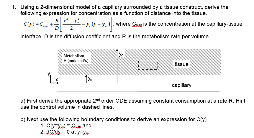 1. Using a 2-dimensional model of a capillary | Chegg.com