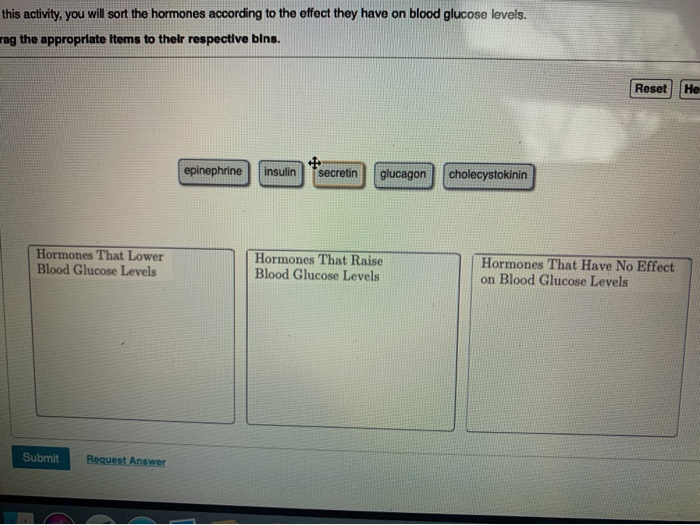 Solved this activity, you will sort the hormones according | Chegg.com