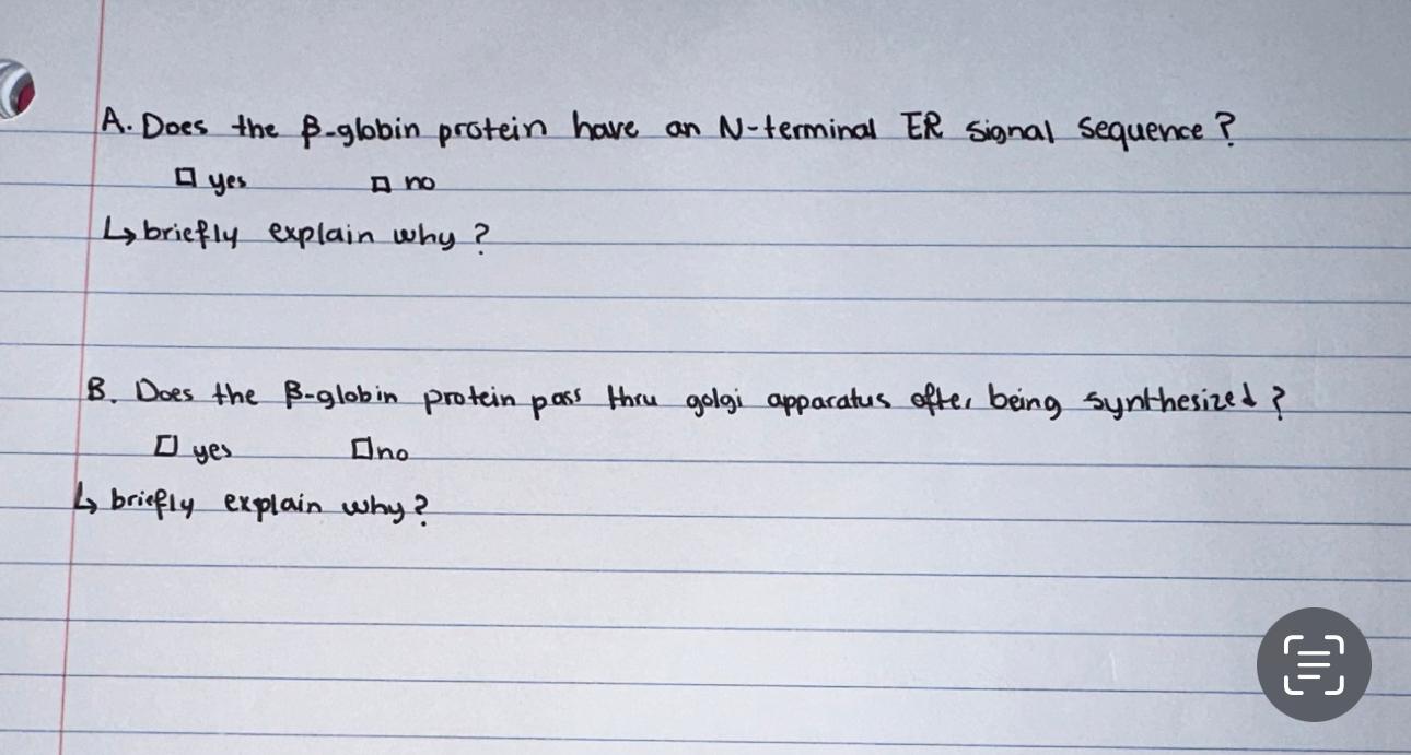 Solved A. Does the β-globin protein have an N-terminal ER | Chegg.com