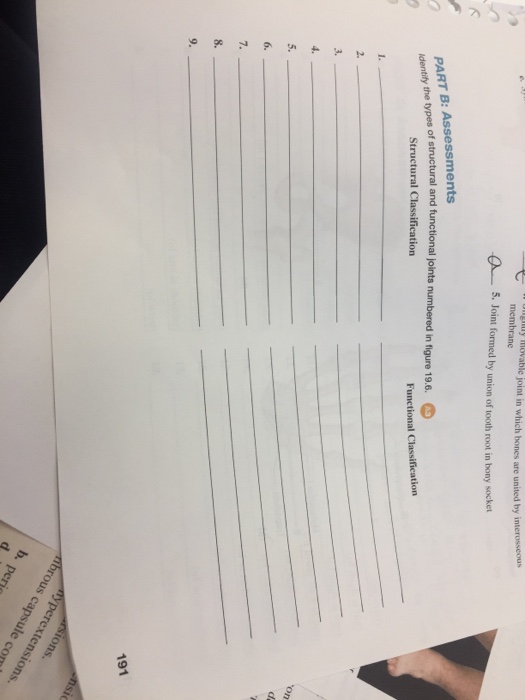 Identify The Types Of Structural And Functional