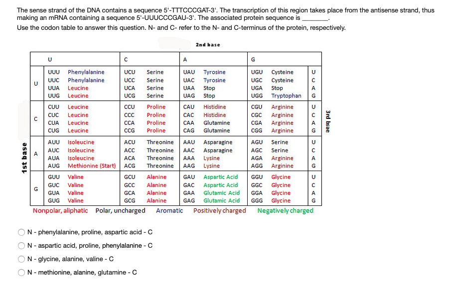 Solved The sense strand of the DNA contains a sequence | Chegg.com