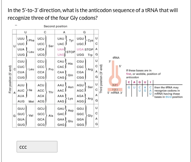 Solved In the 5-to-3' direction, what is the anticodon | Chegg.com