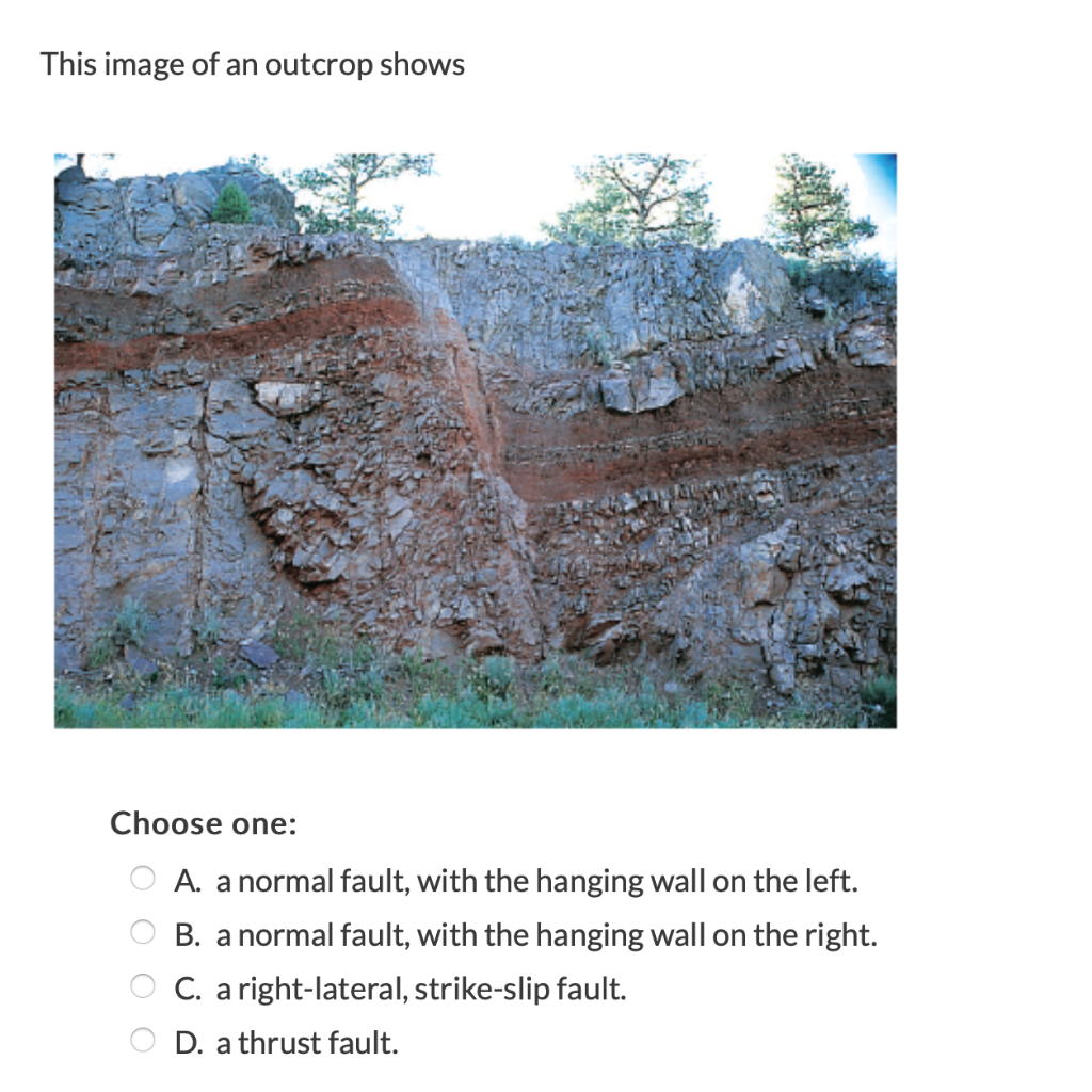 Solved This image of an outcrop shows Choose one: A. a | Chegg.com