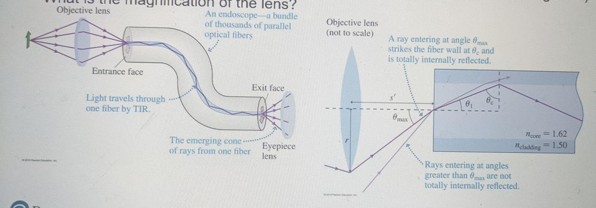 Solved •An endoscope consists of an objective lens, an | Chegg.com