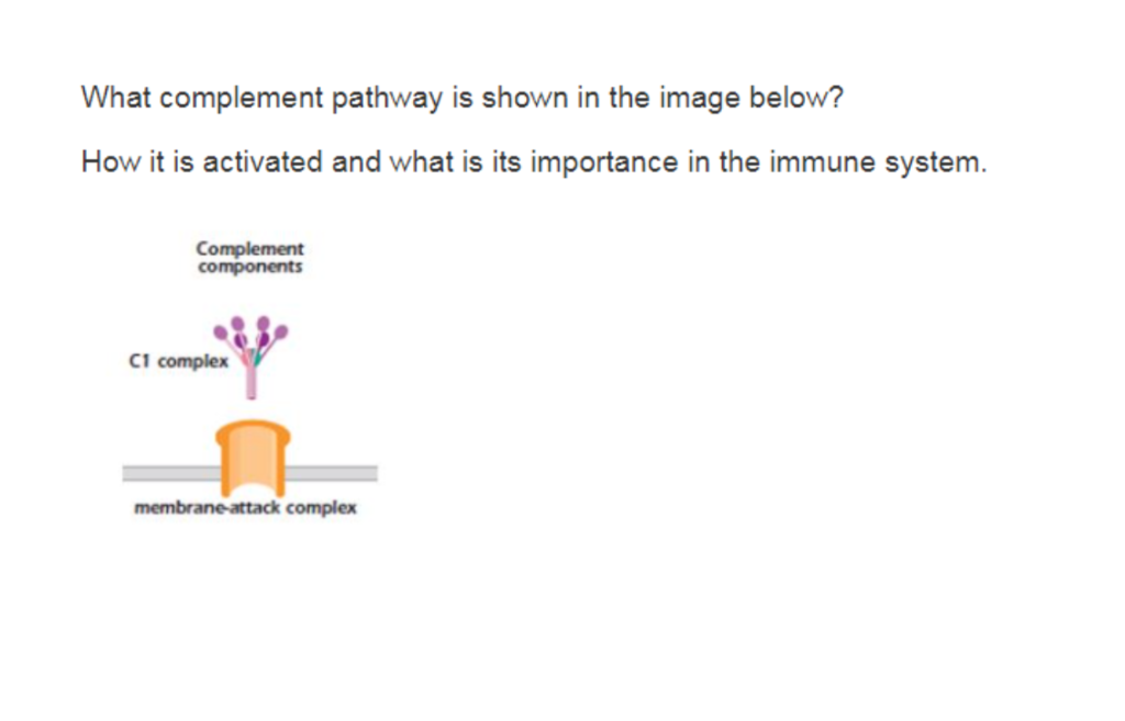 Solved what complement pathway is shown in the image below? | Chegg.com