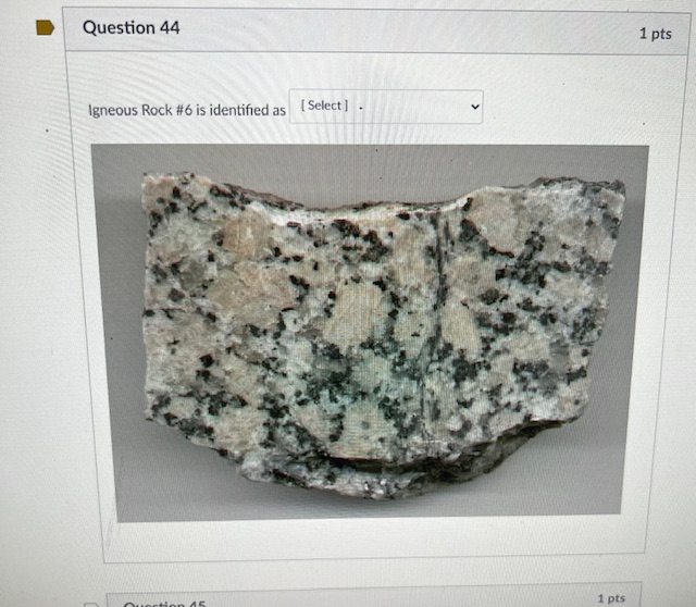 Solved Question 42Igneous Rock #4 ﻿is identified as Question | Chegg.com