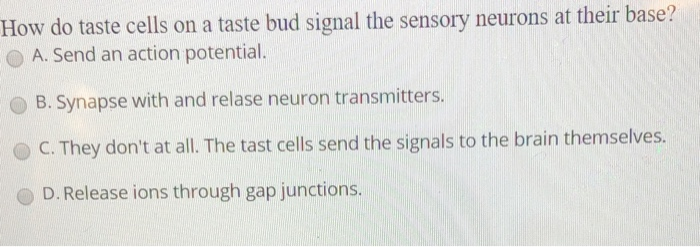 Solved How do taste cells on a taste bud signal the sensory | Chegg.com