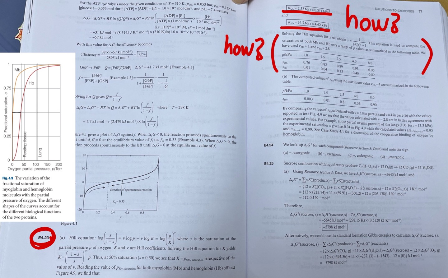Solved The first two are the questions. The last photo is | Chegg.com