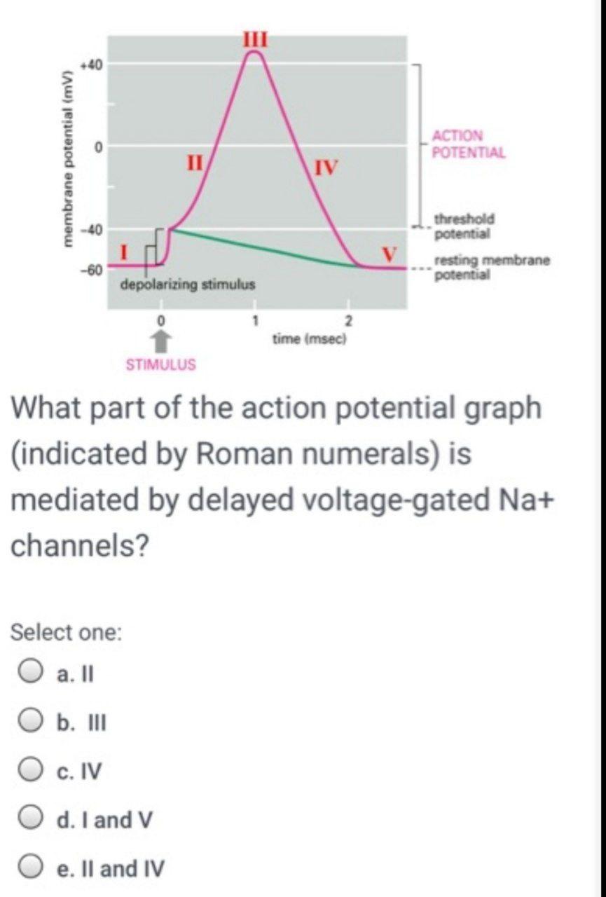 Solved III +40 membrane potential (mv) ACTION POTENTIAL II | Chegg.com