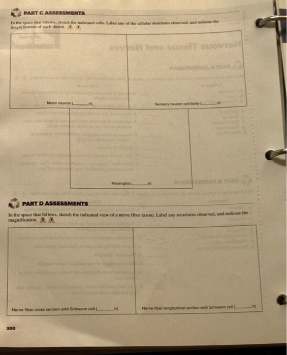 l PART C ASSESSMENTS In the space that follows, | Chegg.com