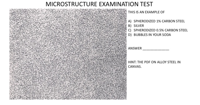 Solved MICROSTRUCTURE EXAMINATION TEST THIS IS AN EXAMPLE OF | Chegg.com