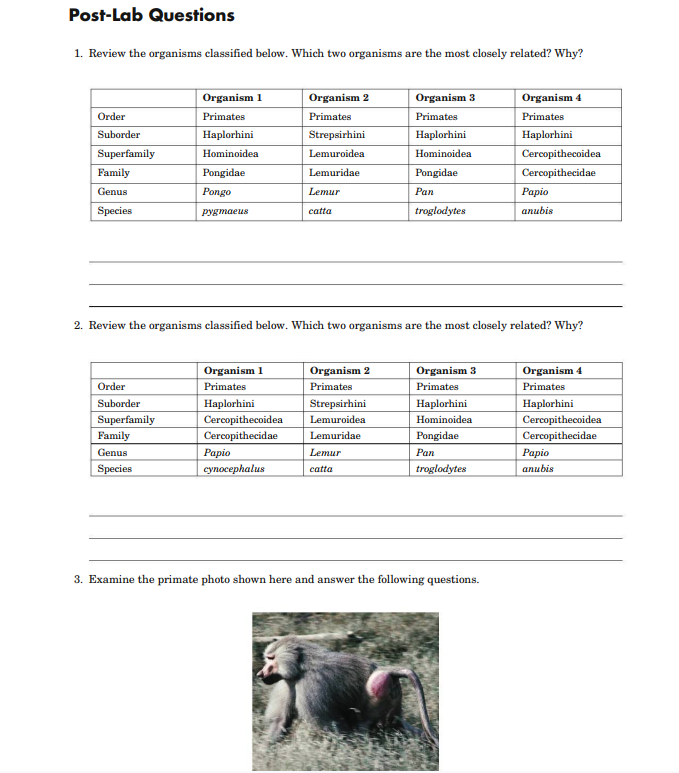 Solved 5. Examine the following primate photo and answer | Chegg.com