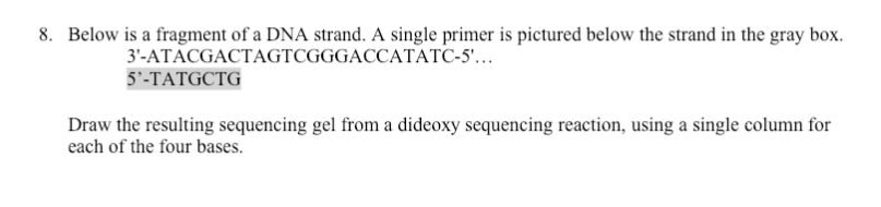 Solved 8. Below is a fragment of a DNA strand. A single | Chegg.com