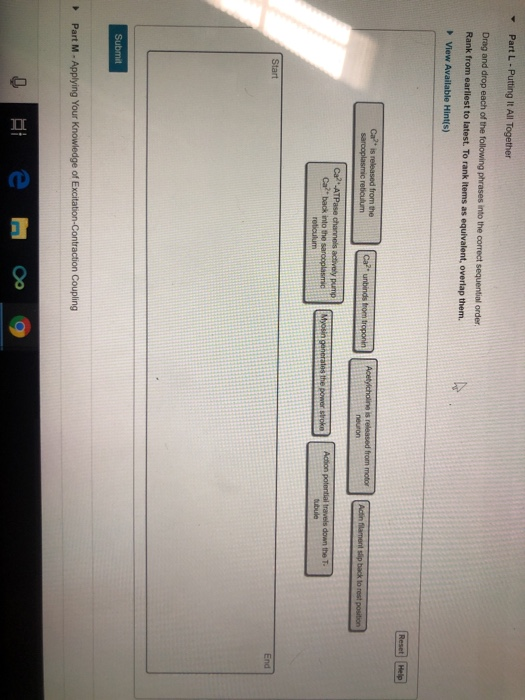Solved Drag And Drop Each Of The Following Phrases Into The