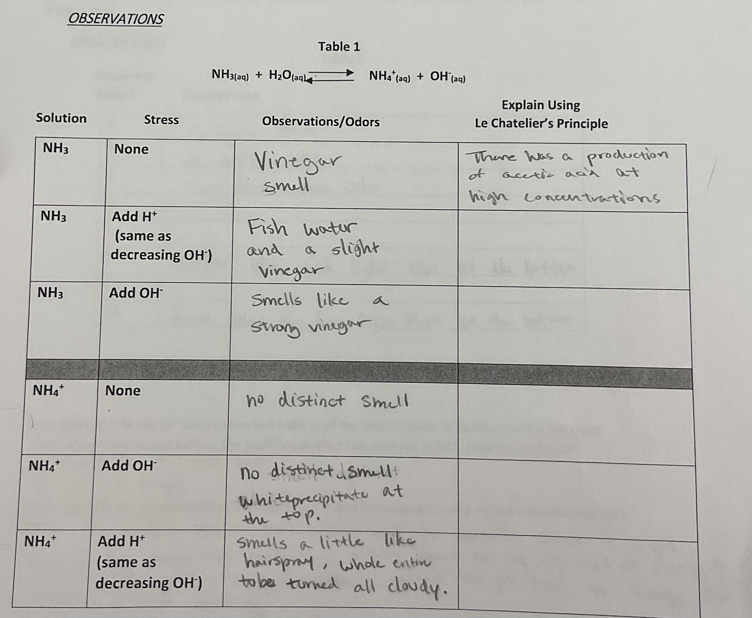 Solved OBSERVATIONS Table 1 NH3(aq)+H2O(aq) NH4+(aq)+OH(aq) | Chegg.com